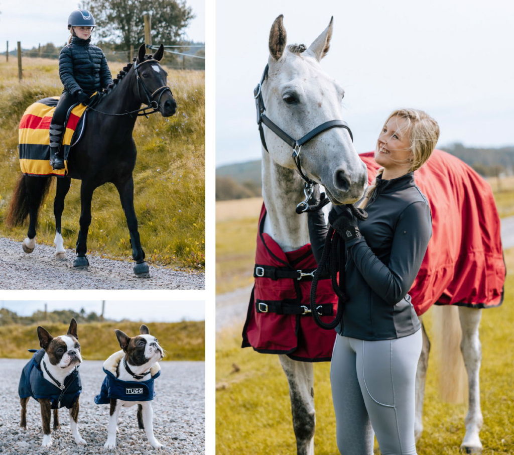 Shoppa allt för häst & ryttare | Gekås Ullared